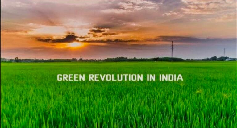 What is Green Revolution I Discuss About The Positive & Negative ...