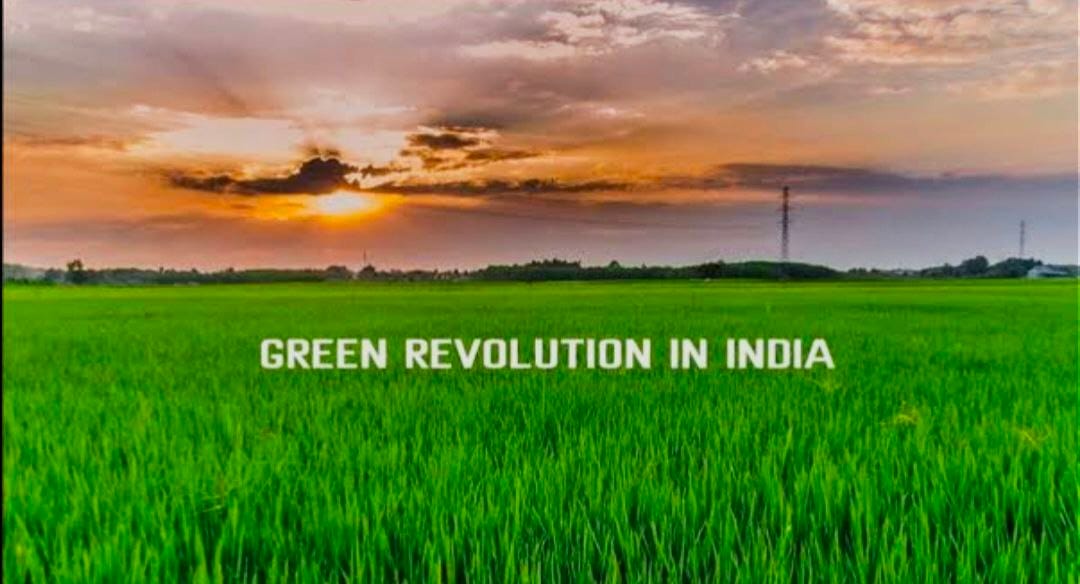 What is Green Revolution I Discuss About The Positive & Negative ...